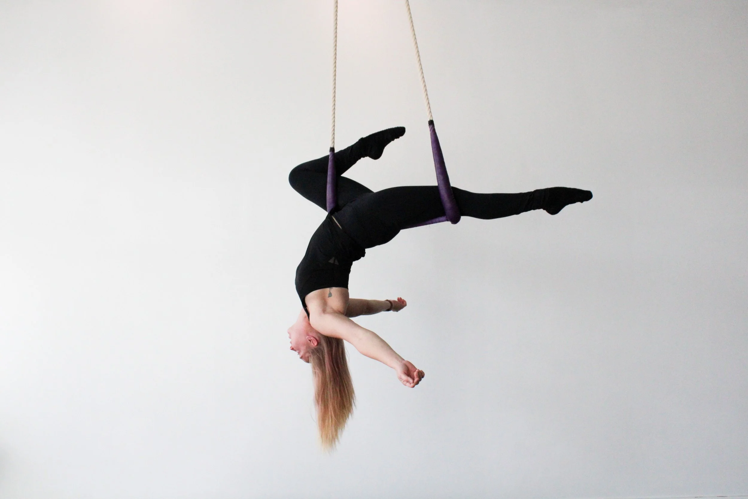 AERIAL SKILL LEVELS — PURA VIDA STUDIO