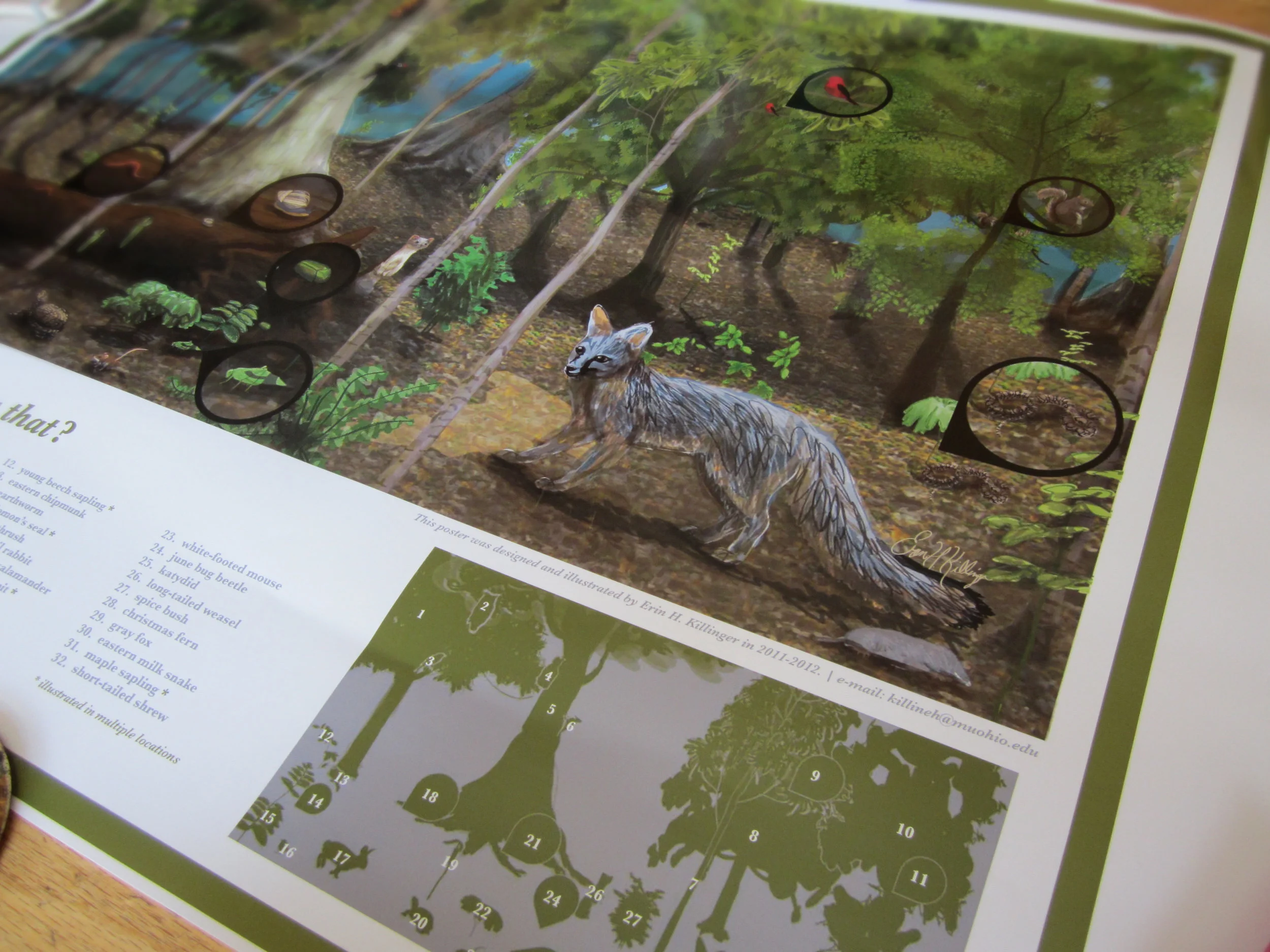 Ecosystem Poster Series — Erin Killinger