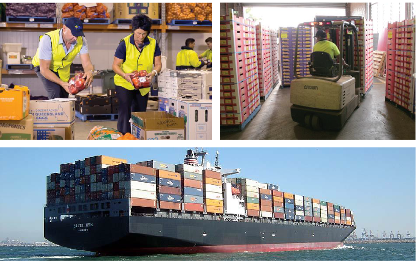 export — Total Food Network