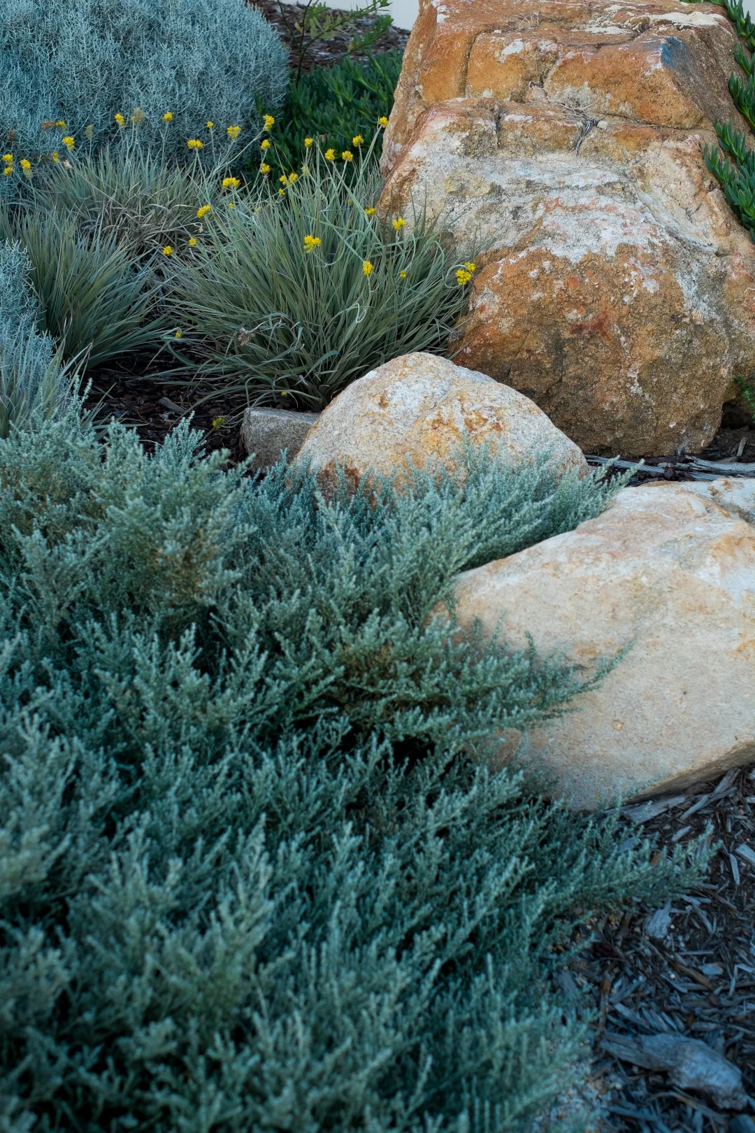 About — PHASE3 LANDSCAPE CONSTRUCTION