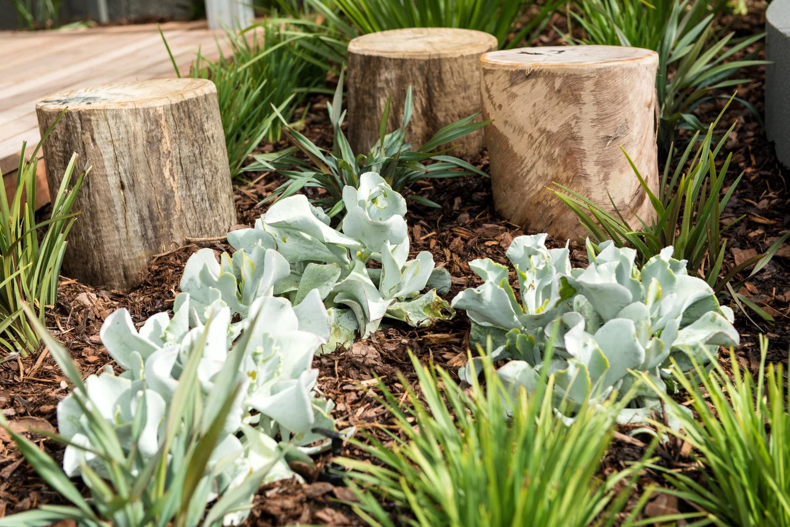 About — PHASE3 LANDSCAPE CONSTRUCTION