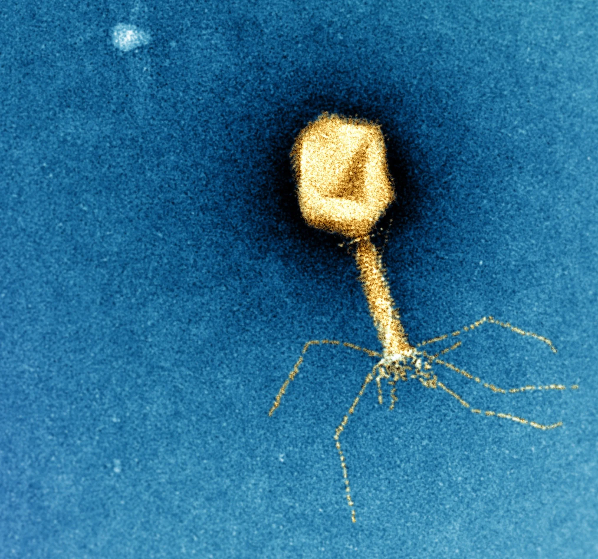 ‘Last Chance to Save a Life’ coming soon — Genepool Productions