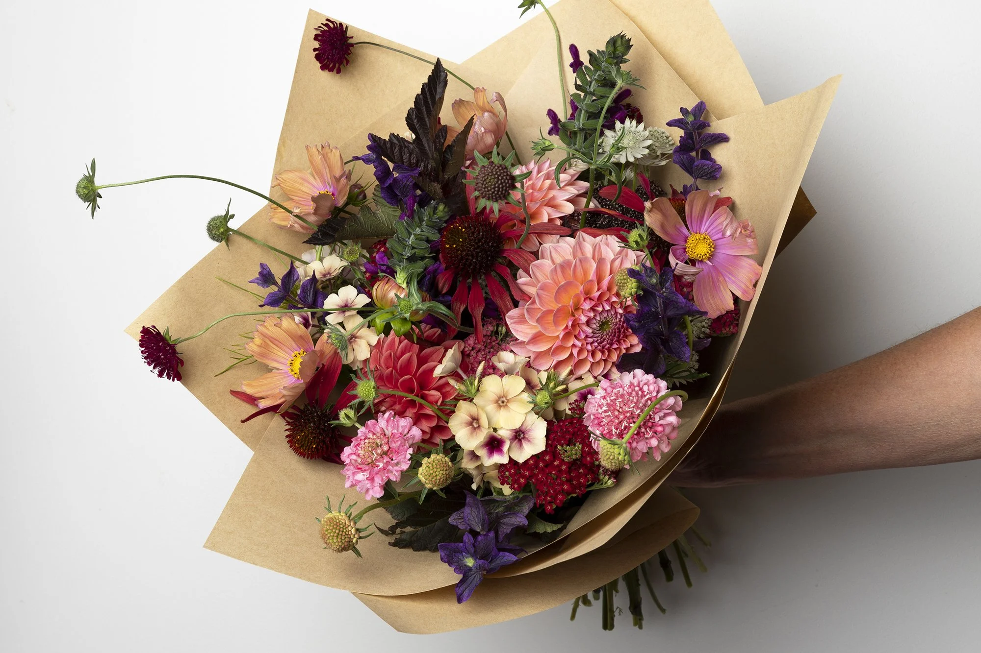 Petal & Co: Edible Flowers — Products