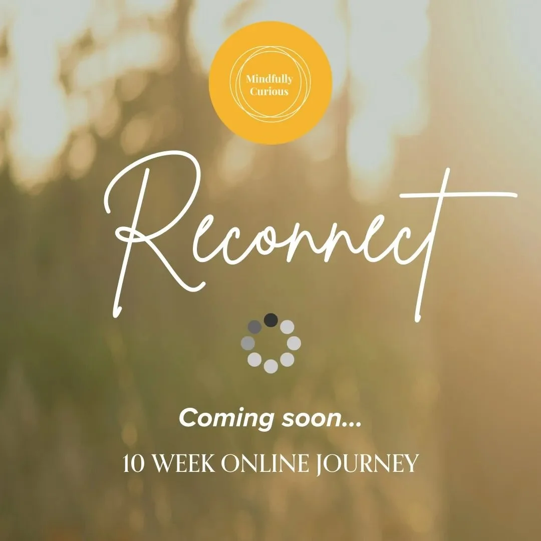 Reconnect | Trauma Sensitive Yoga — Mindfully Curious