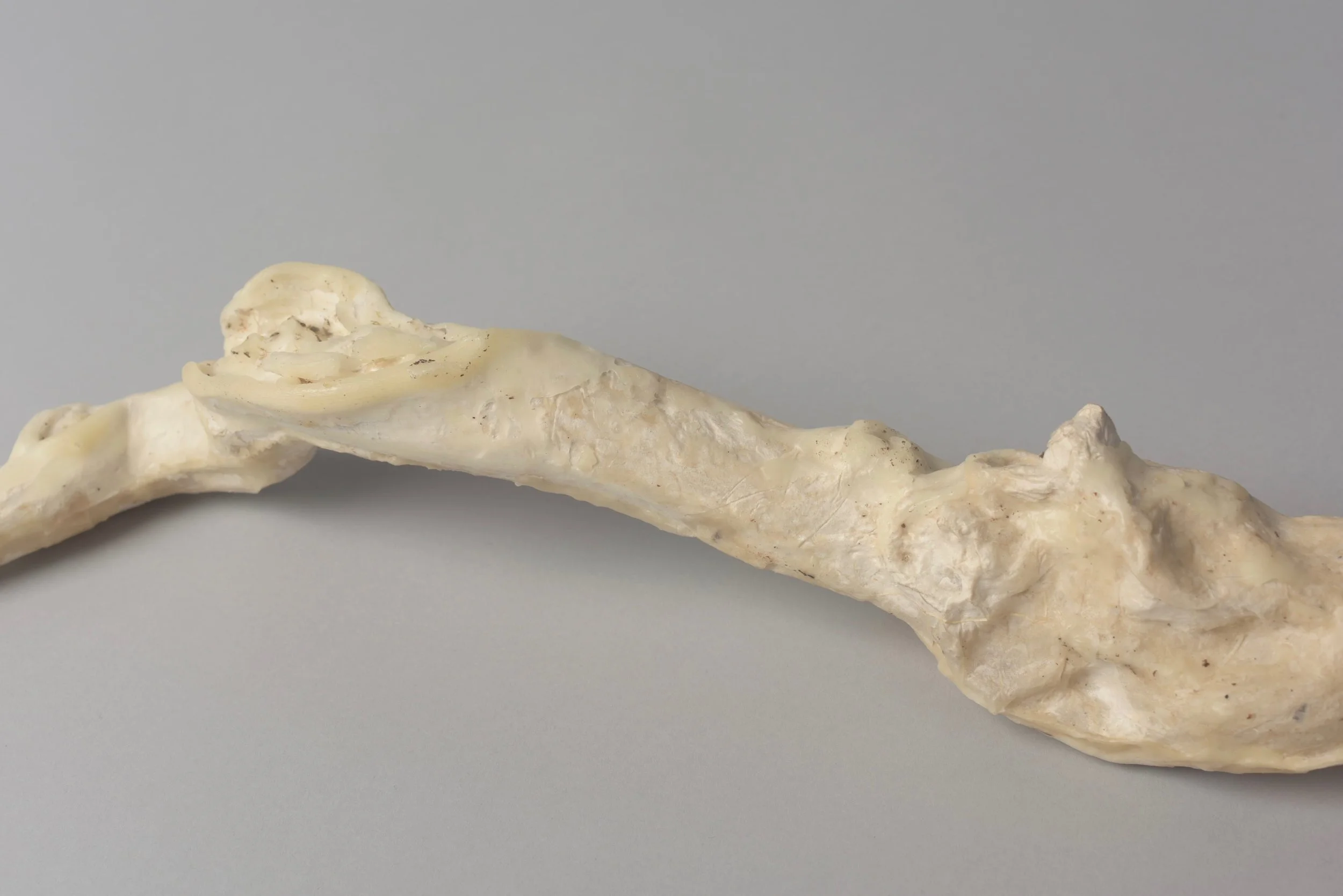 Log Cast — Fiona Campbell