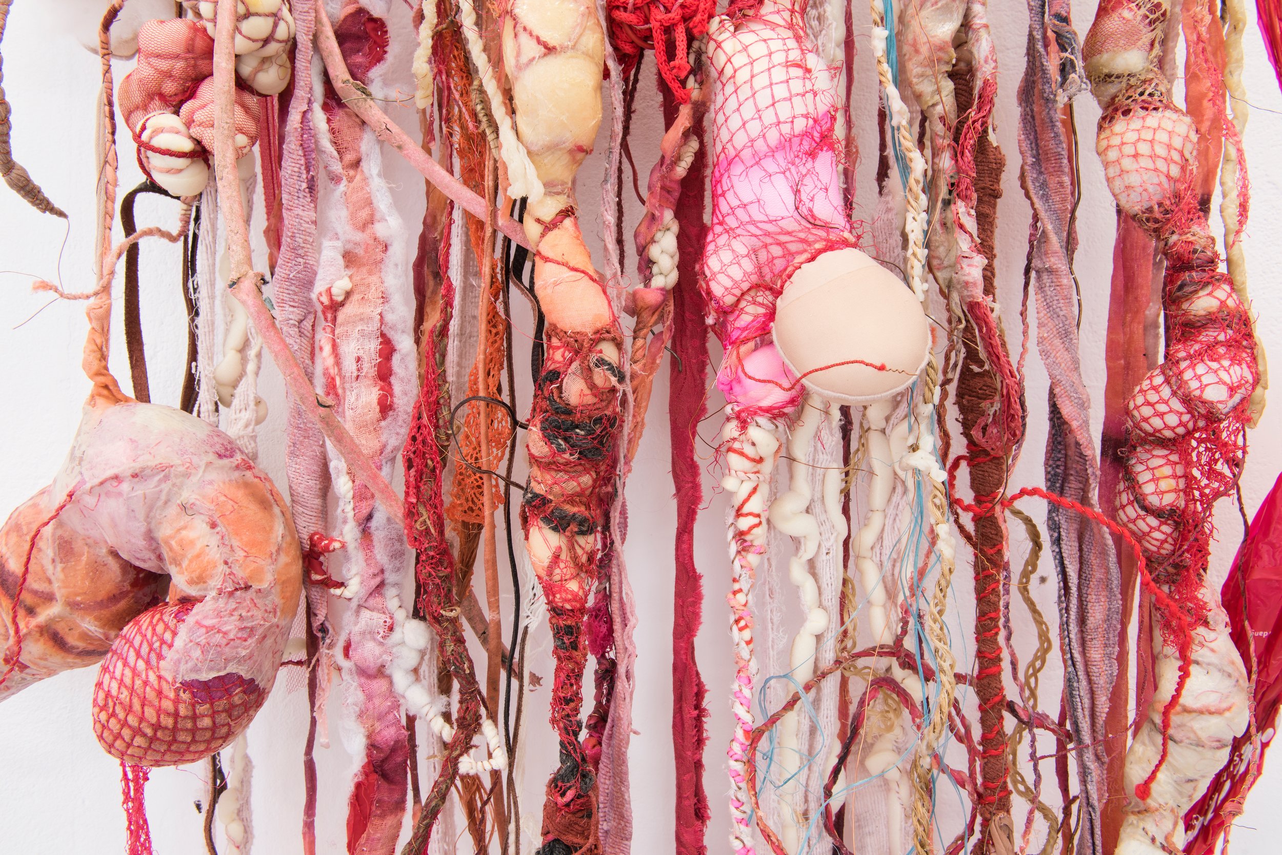 Fiona Campbell Artist