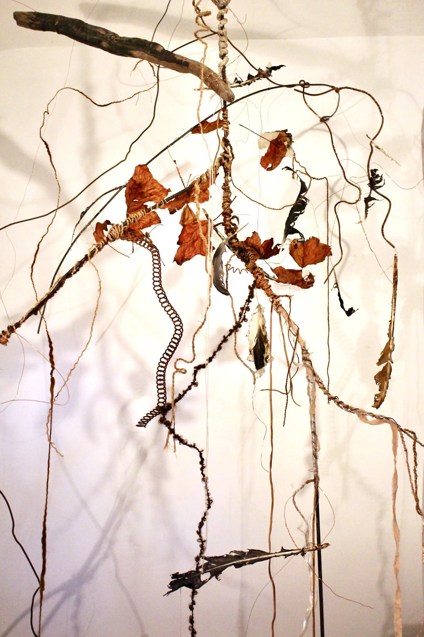 Work — Fiona Campbell