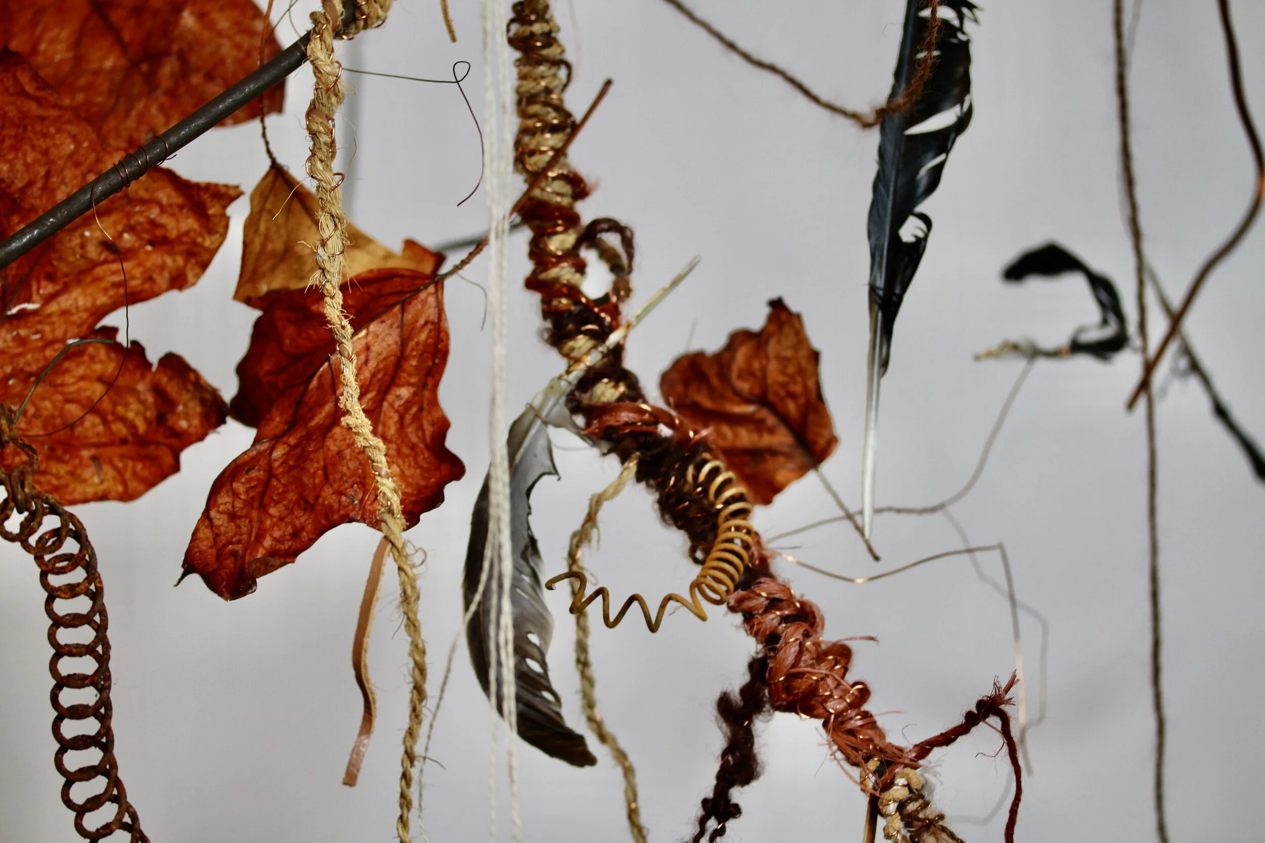 The Fall — Fiona Campbell