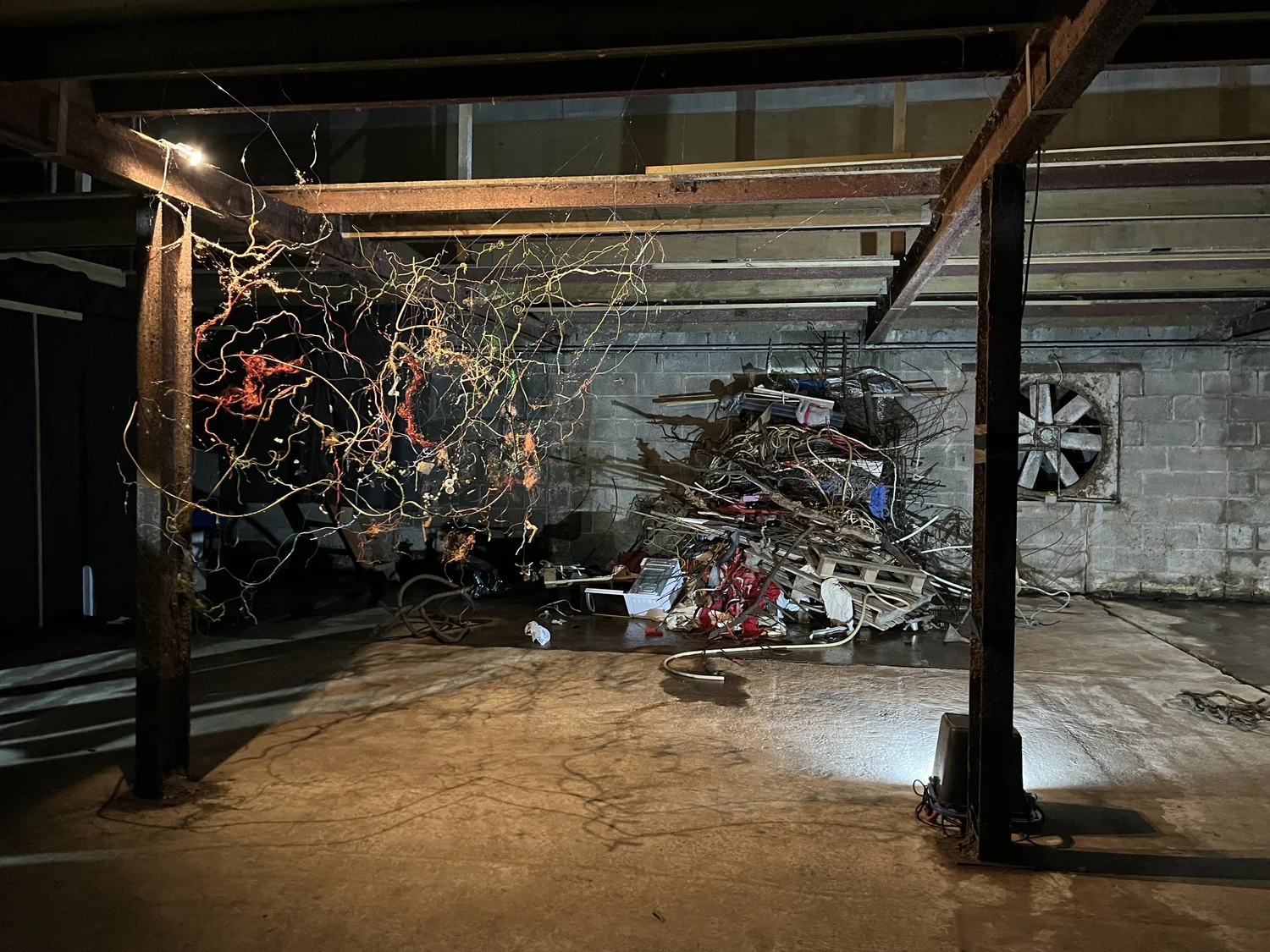 Blog — Fiona Campbell