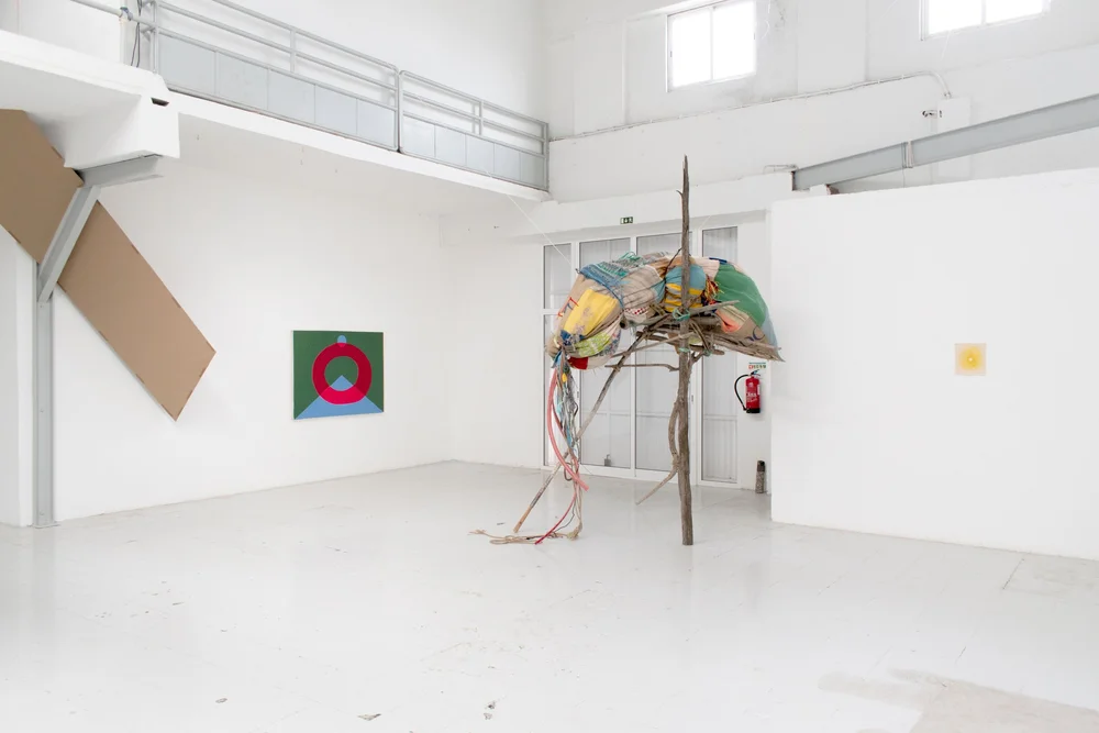 Blog — Fiona Campbell