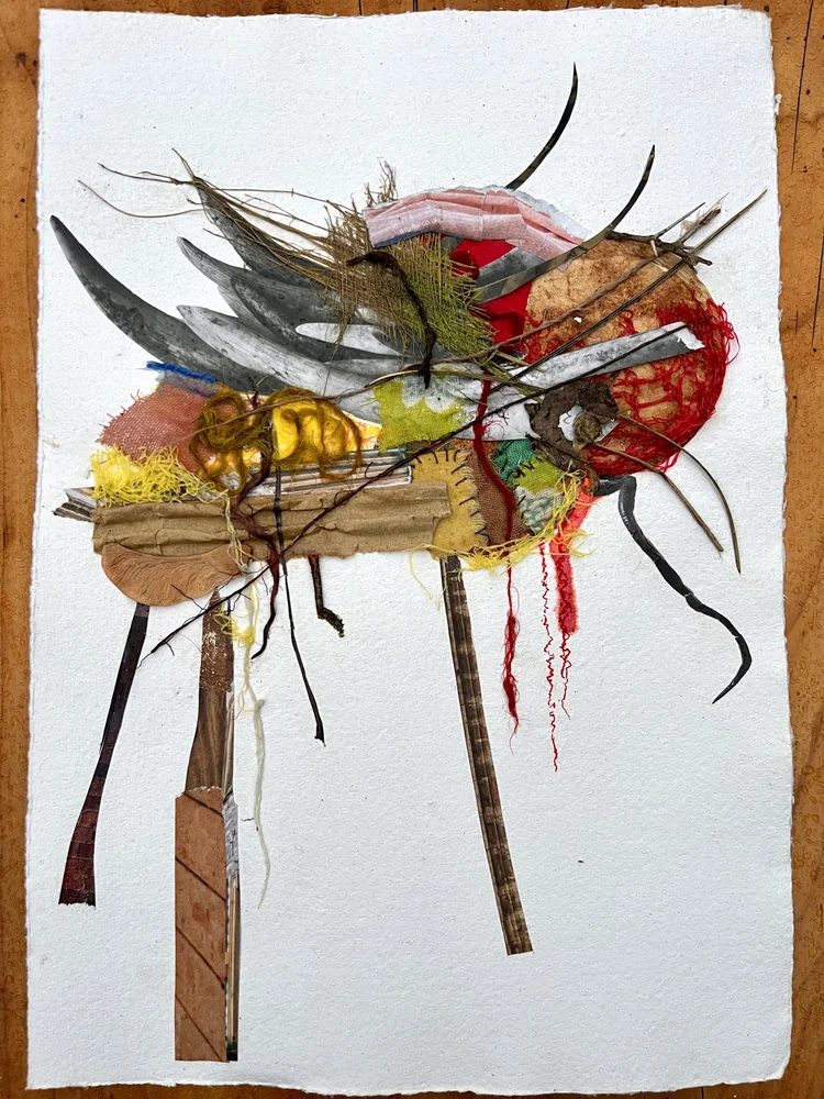 Blog — Fiona Campbell