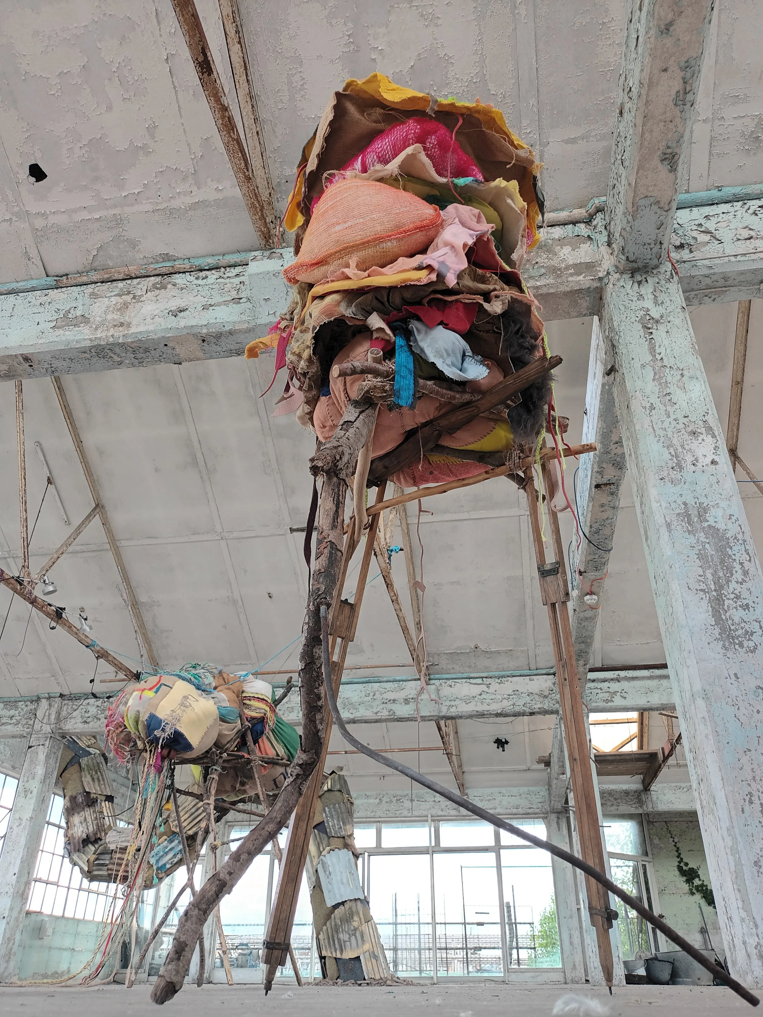 Blog — Fiona Campbell