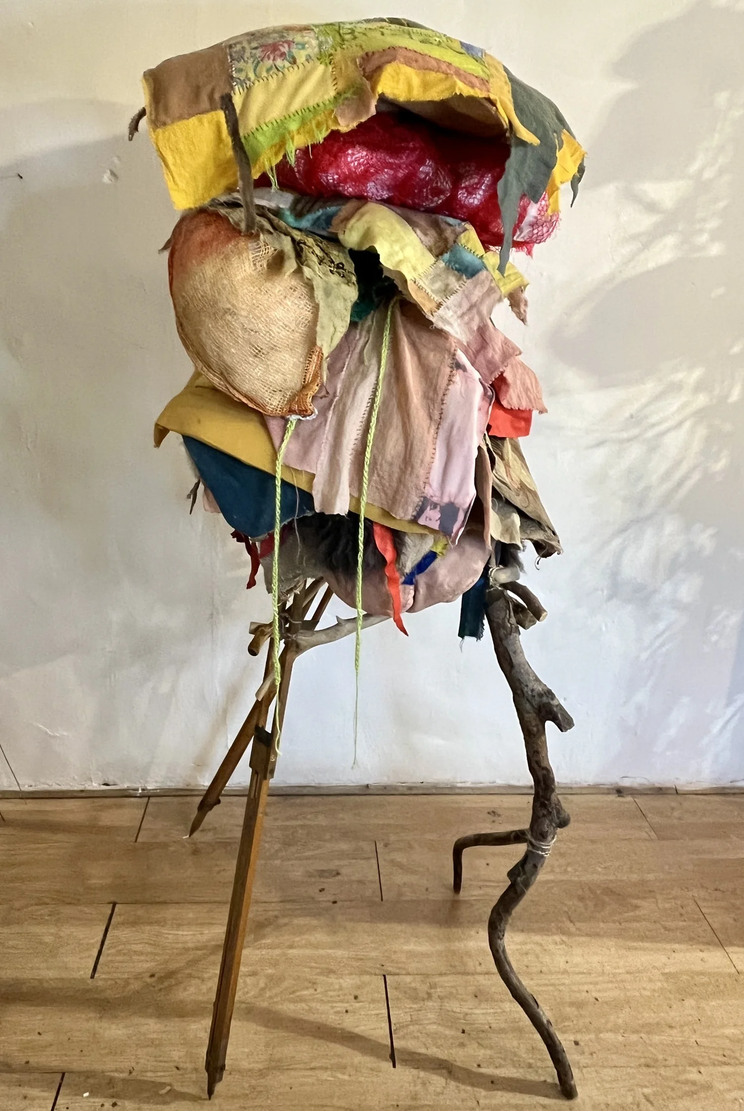 Blog — Fiona Campbell