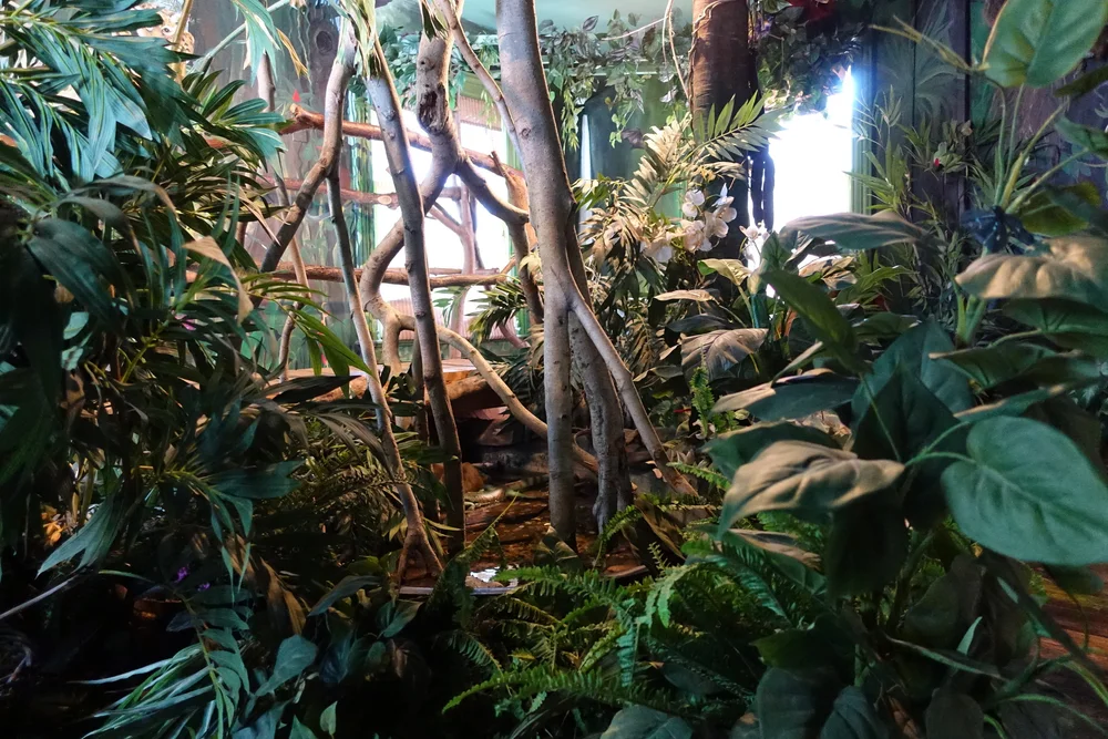 Visiting our center — Sweetbriar Nature Center