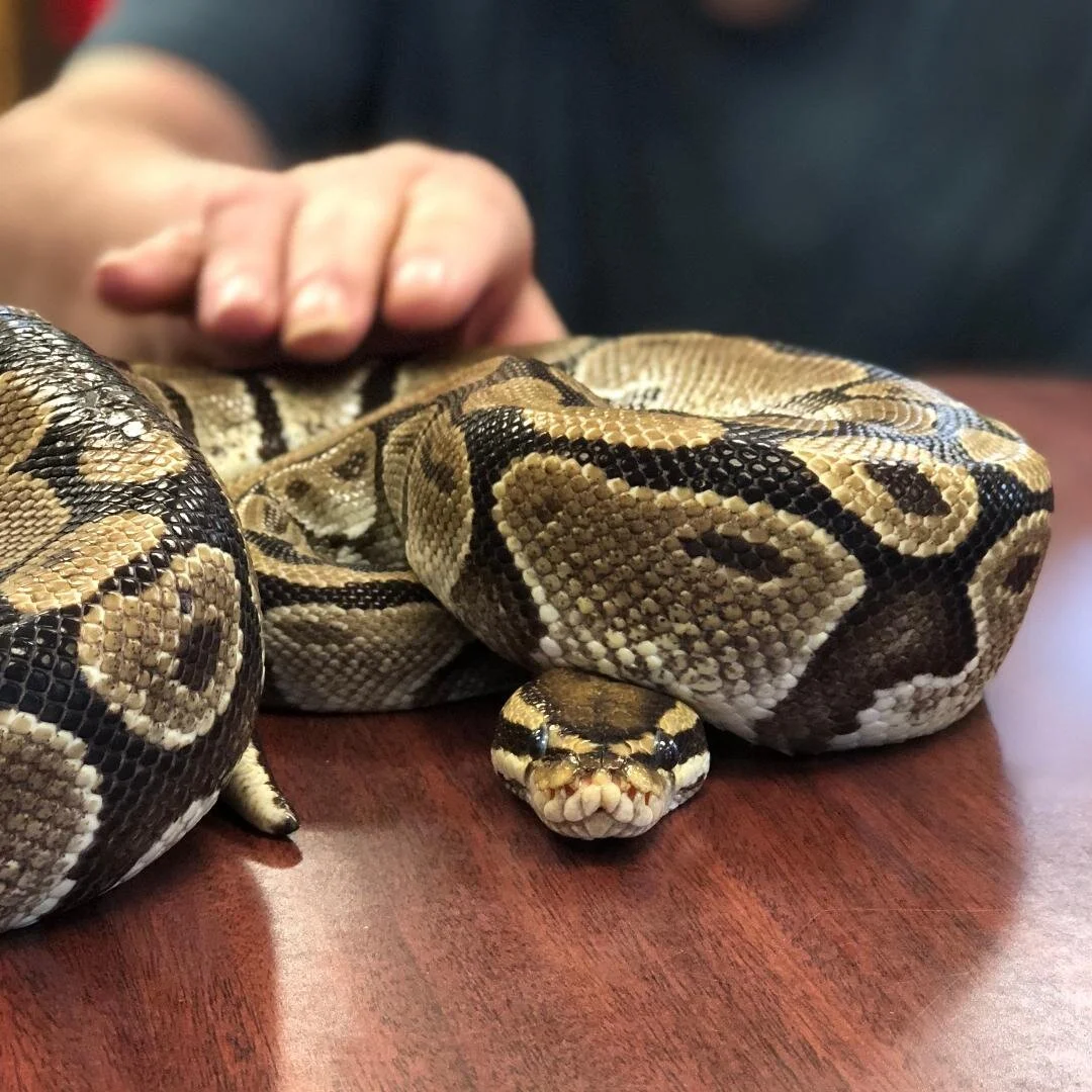 Memberships/Sponsors — Sweetbriar Nature Center