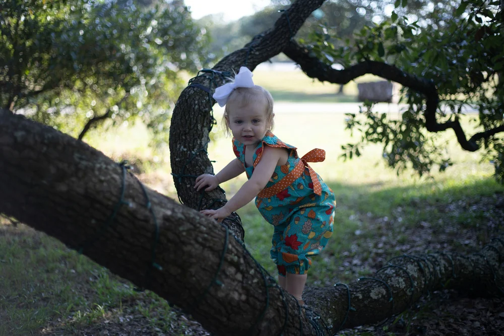 Nature Sprouts: Summer Toddler Discover Series — Sweetbriar Nature Center