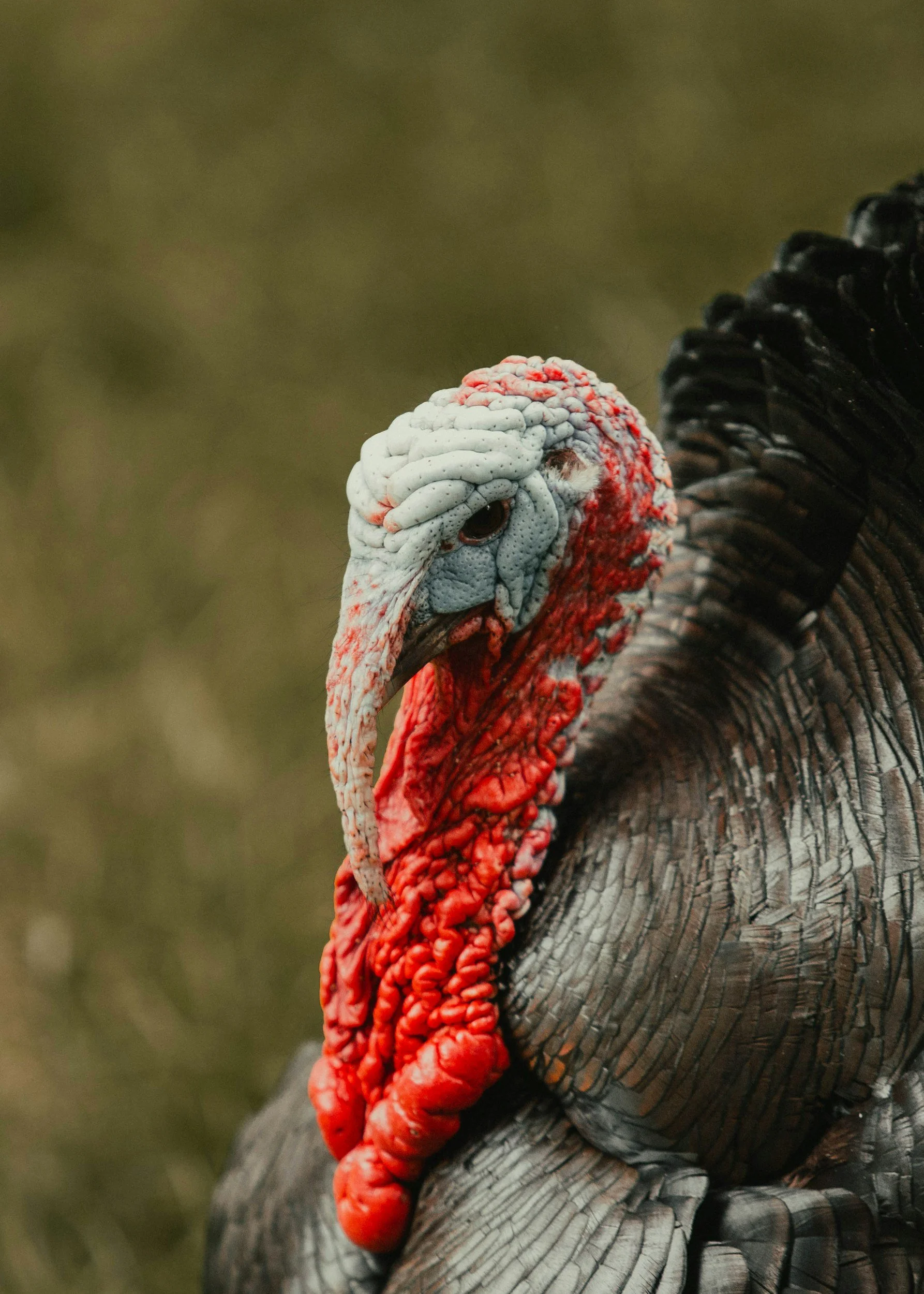 Blog — Sweetbriar Nature Center