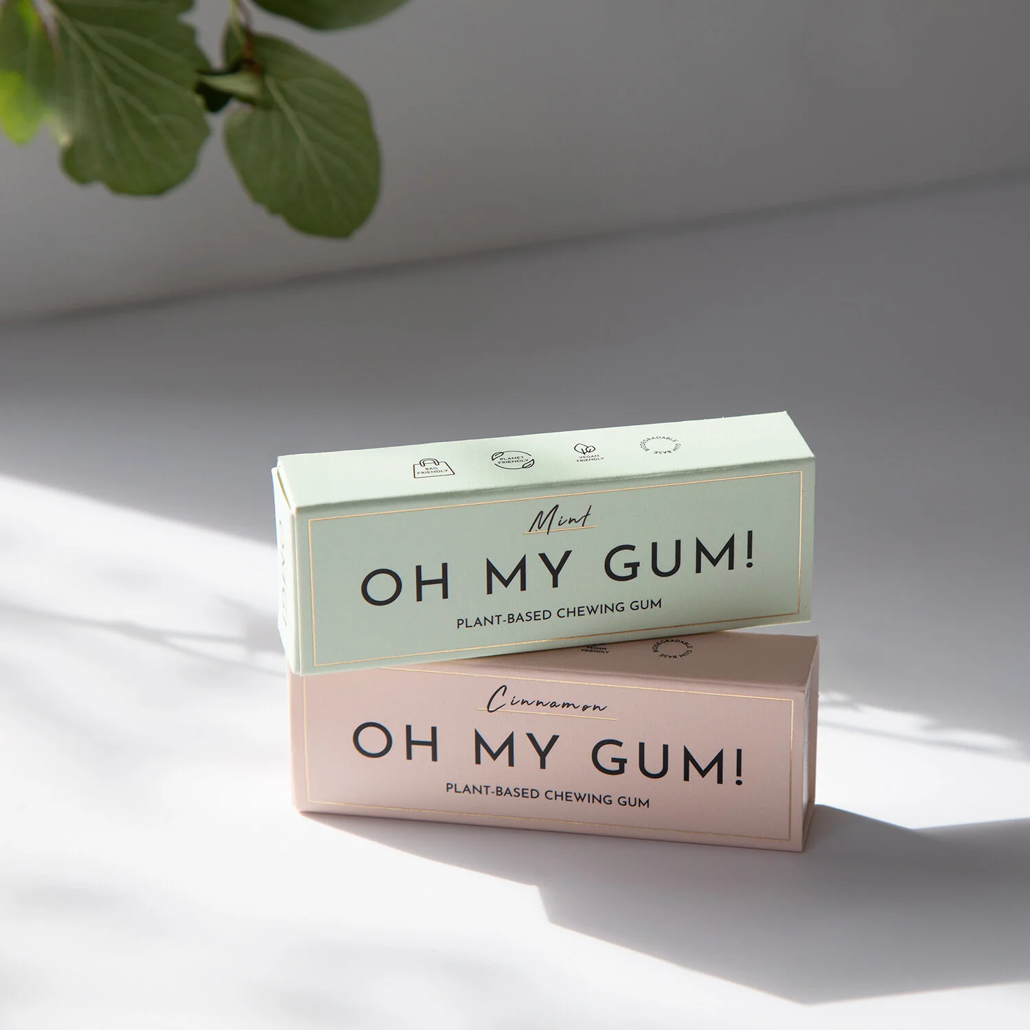 INTERESTING FACTS ABOUT CHEWING GUM — OH MY GUM!