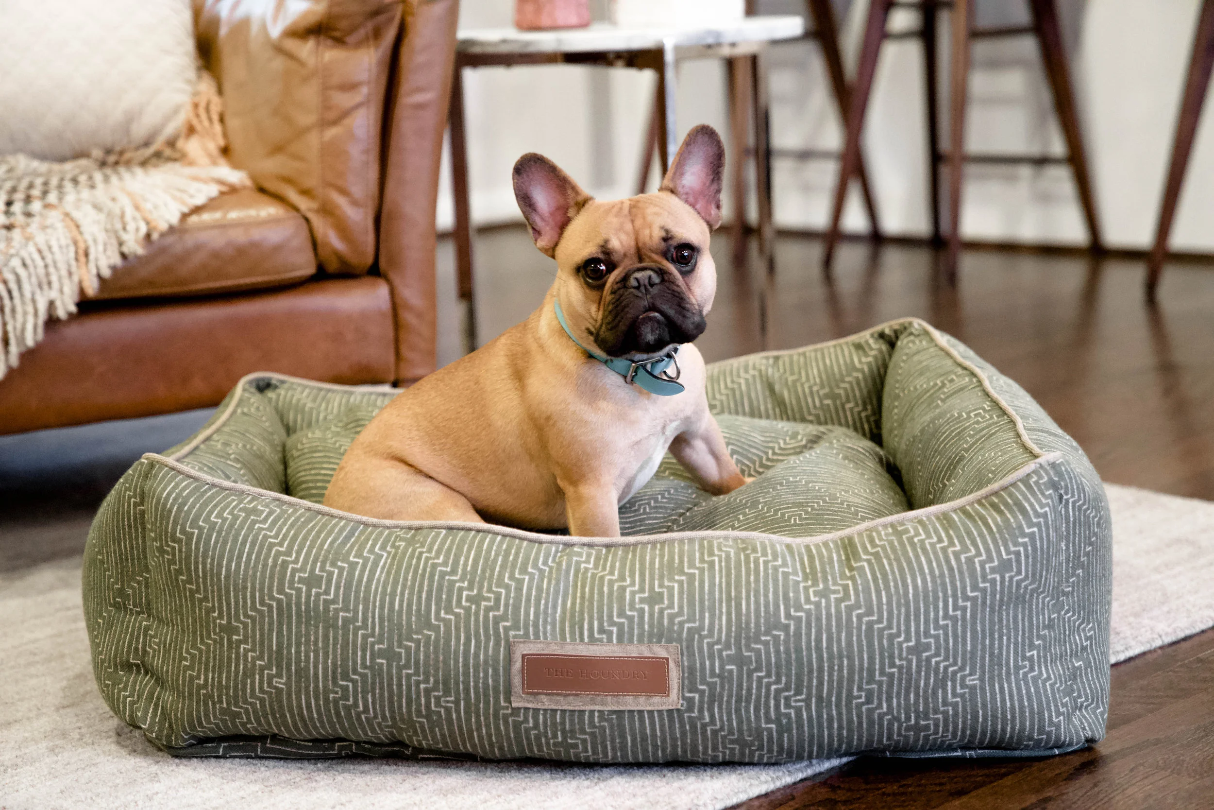 Shop Designer Dog Beds | The Houndry — The Houndry
