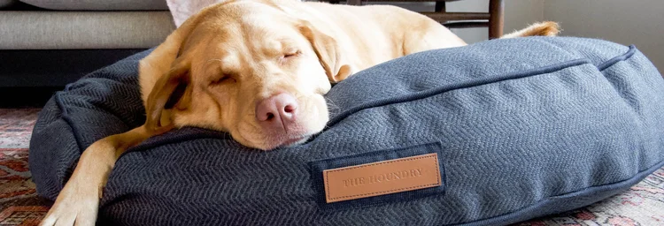 Handmade Hugger Designer Dog Beds | The Houndry — The Houndry