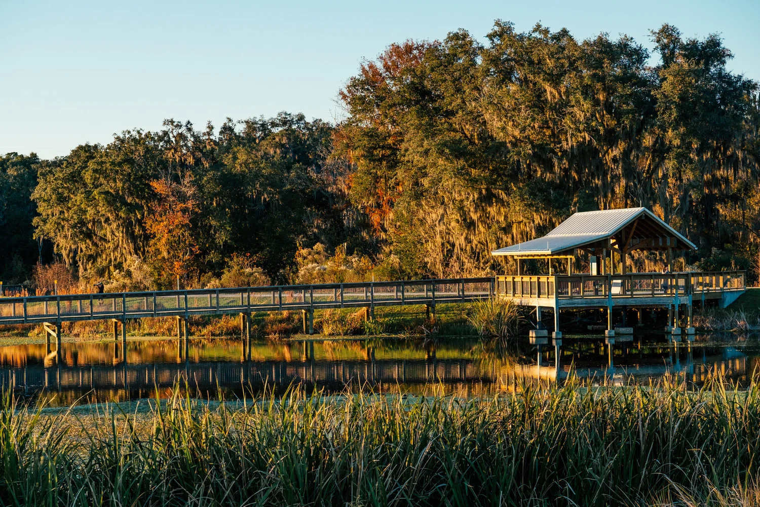 Sweetwater Wetlands — Friends of Nature Parks