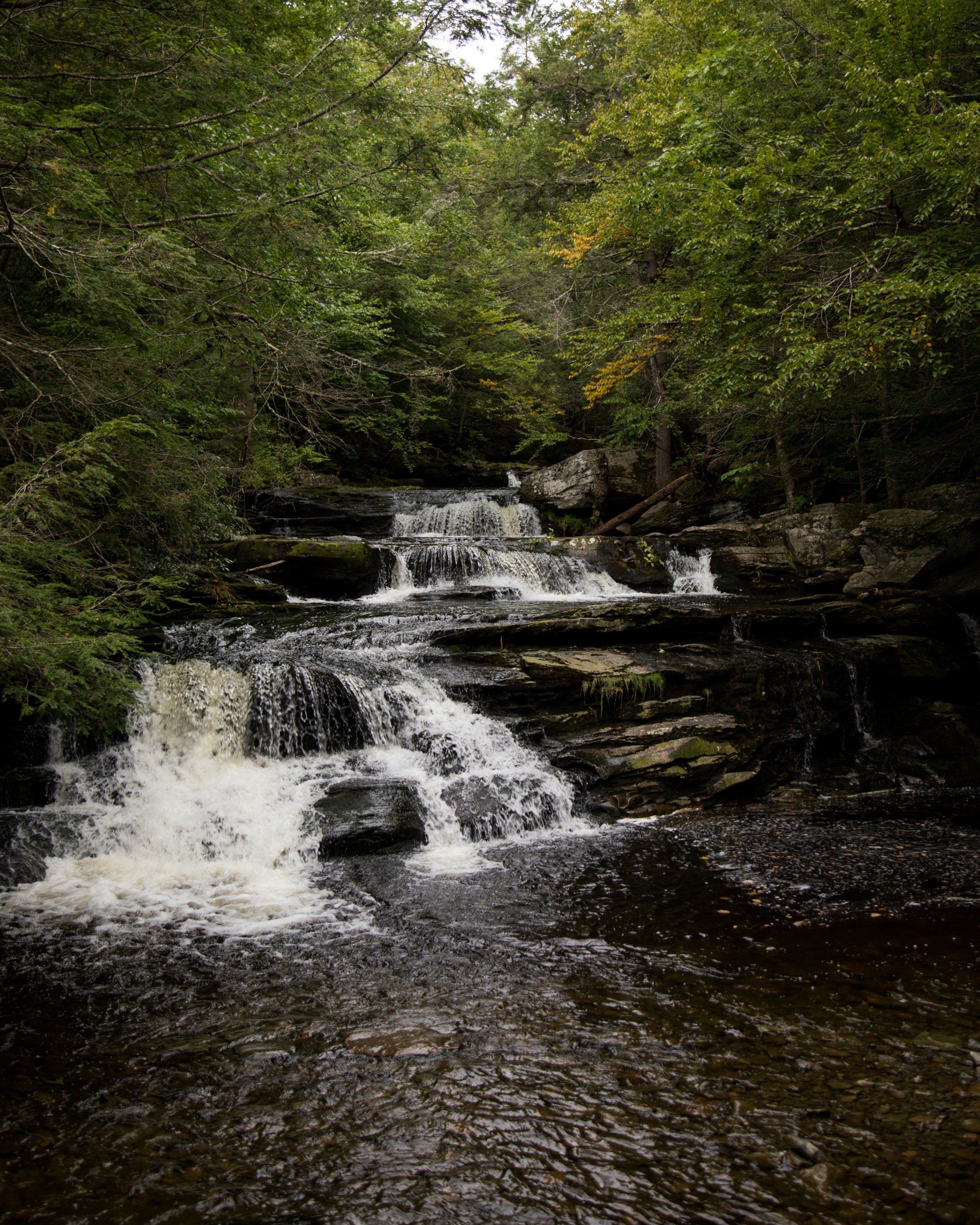Photo Essay: Somewhere In The Catskills — Scribner Hollow Post