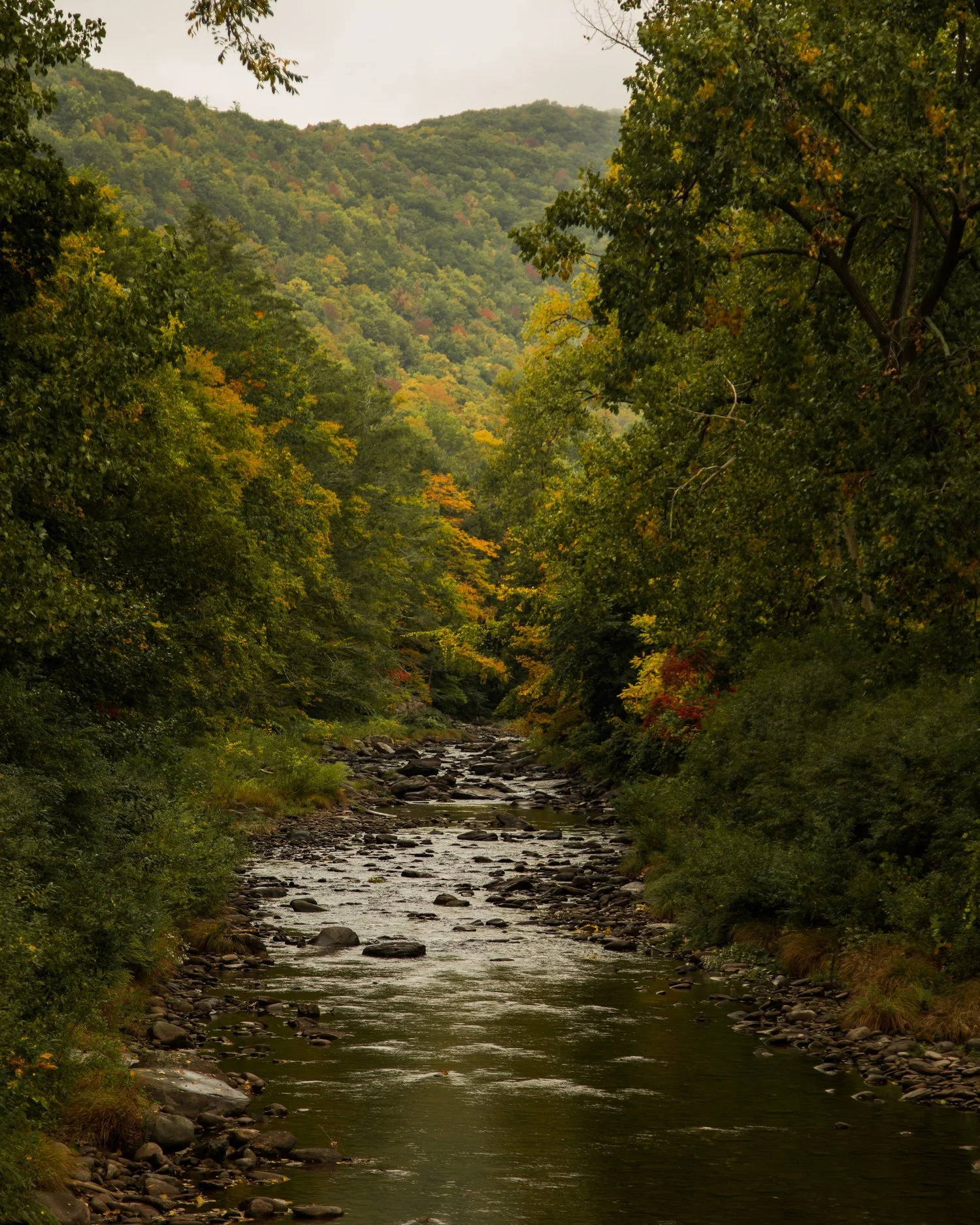 Scribner Hollow Post