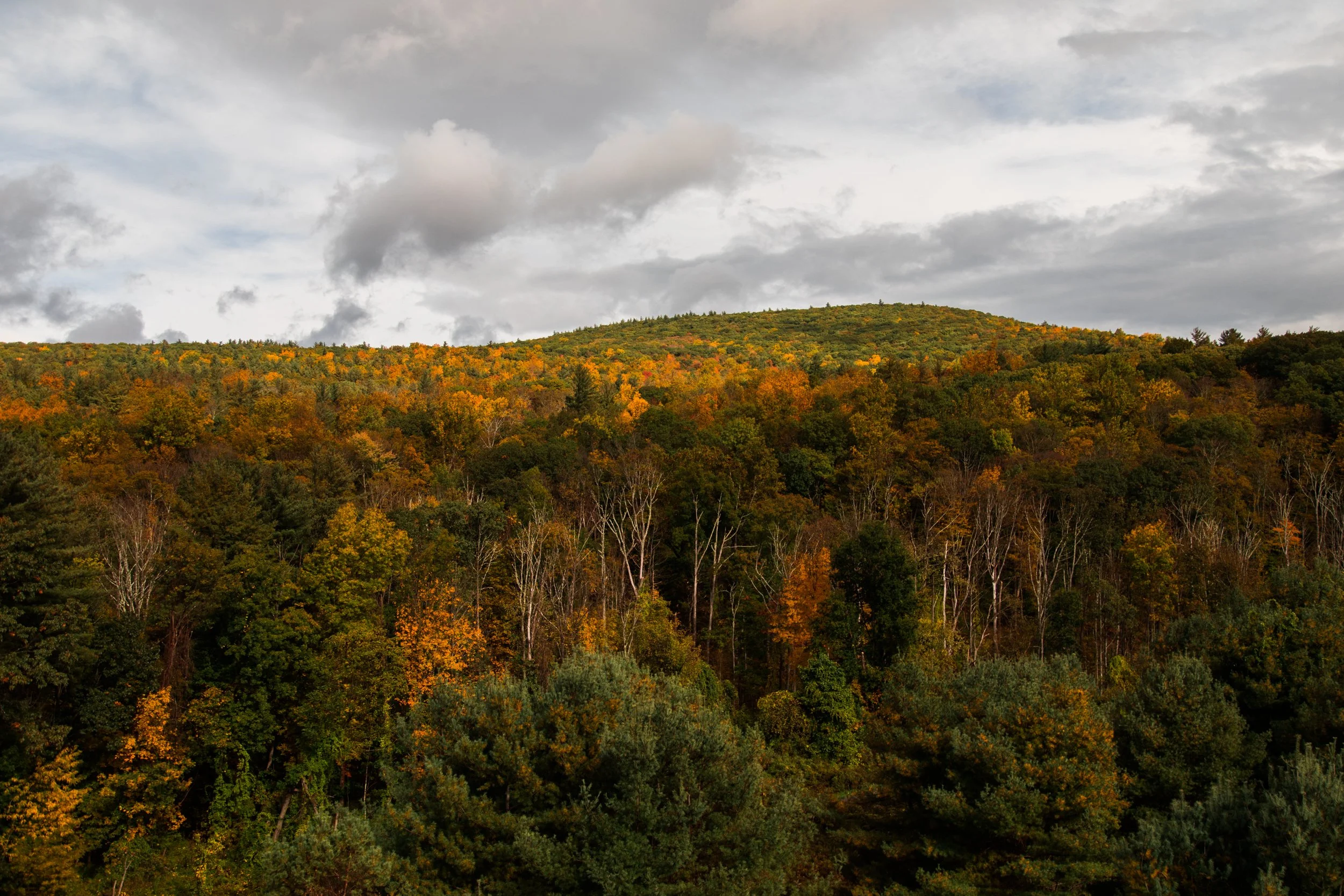 Photo Essay: Somewhere In The Catskills — Scribner Hollow Post