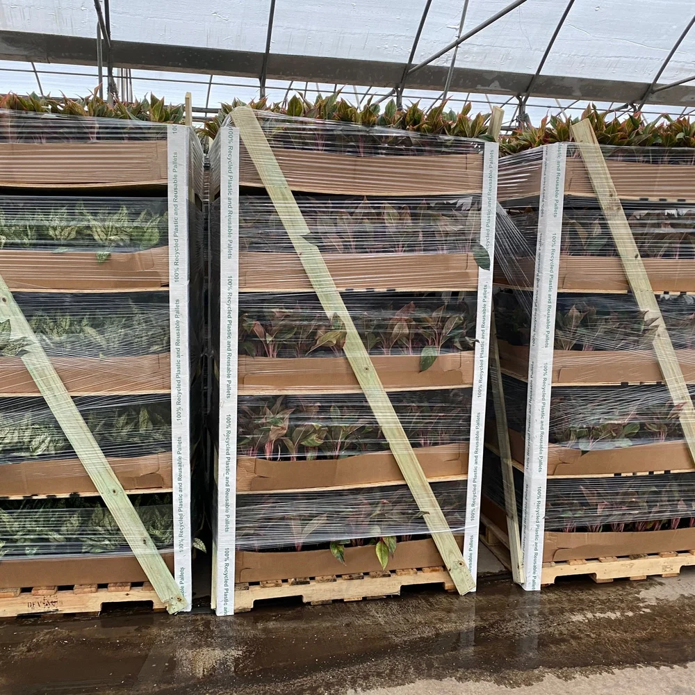 Cornerboards — Pallet Tower