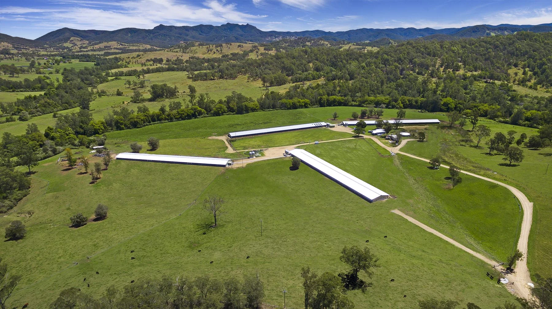 Our Story — Manning Valley Free Range Eggs