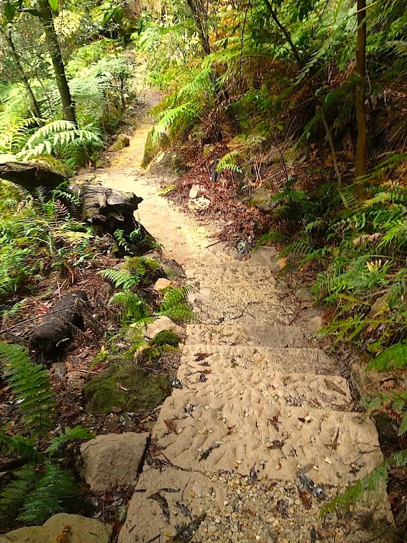 Blue Mountains NP, NSW — Track & Trail
