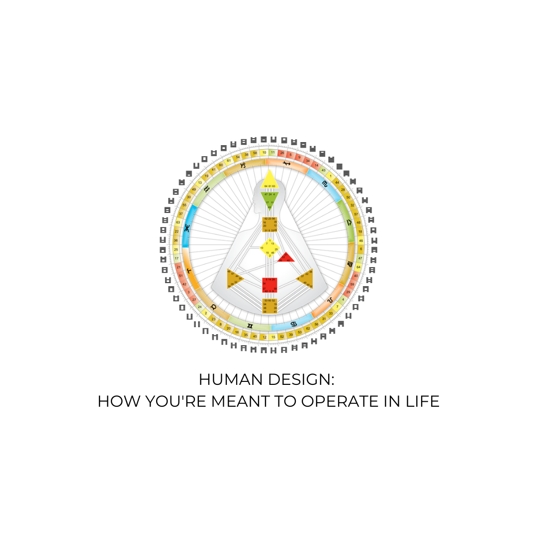 Intro to Human Design — woo woo company