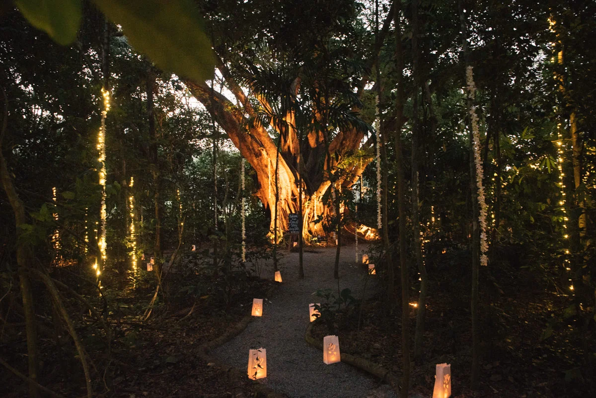 Rainforest Grotto