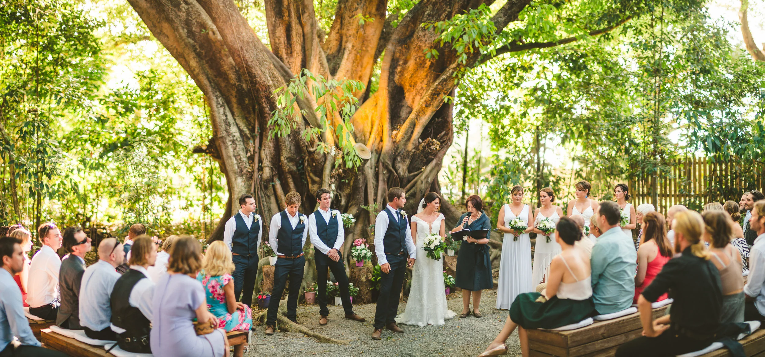 Rainforest Grotto