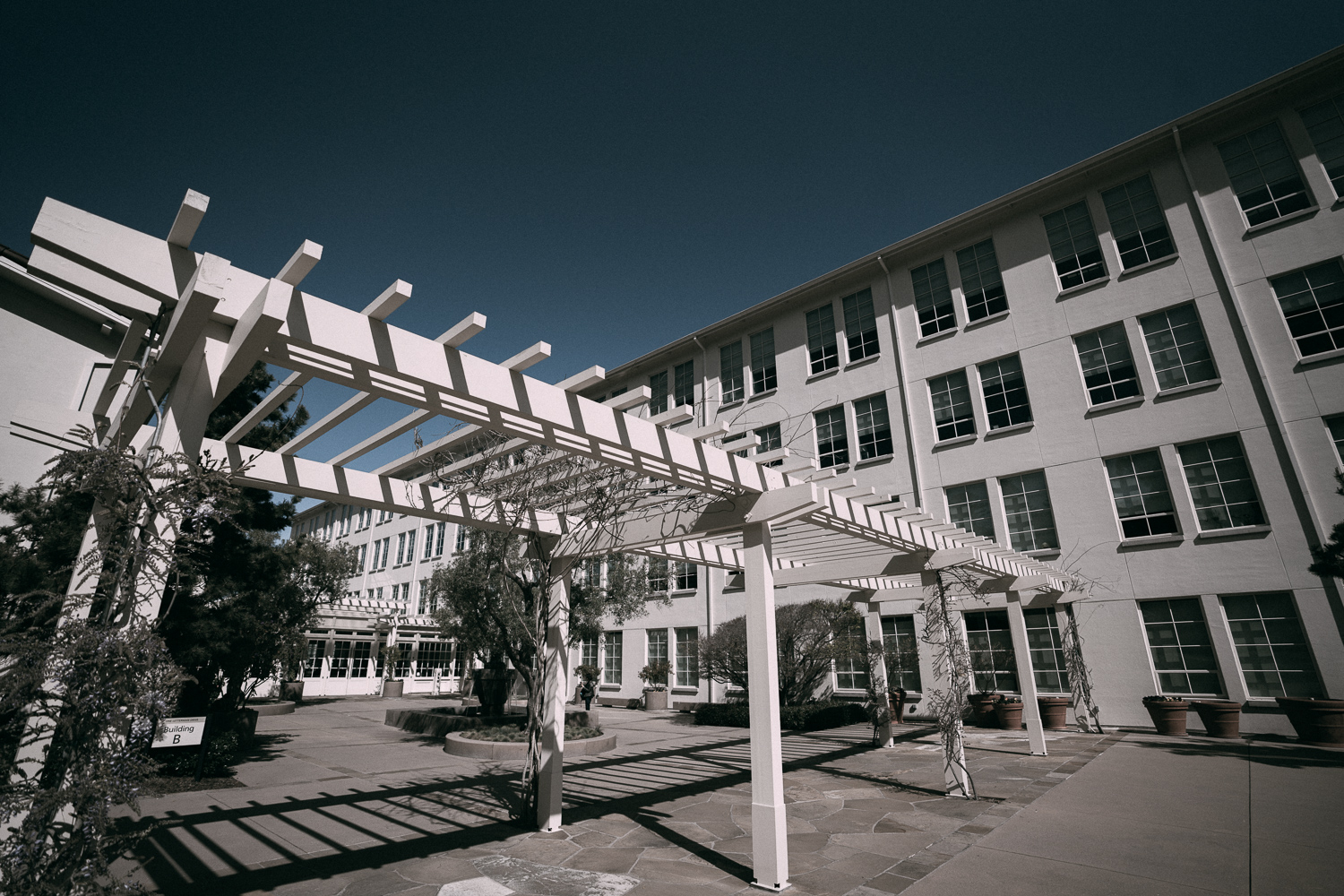 Team — SkyKnight Capital