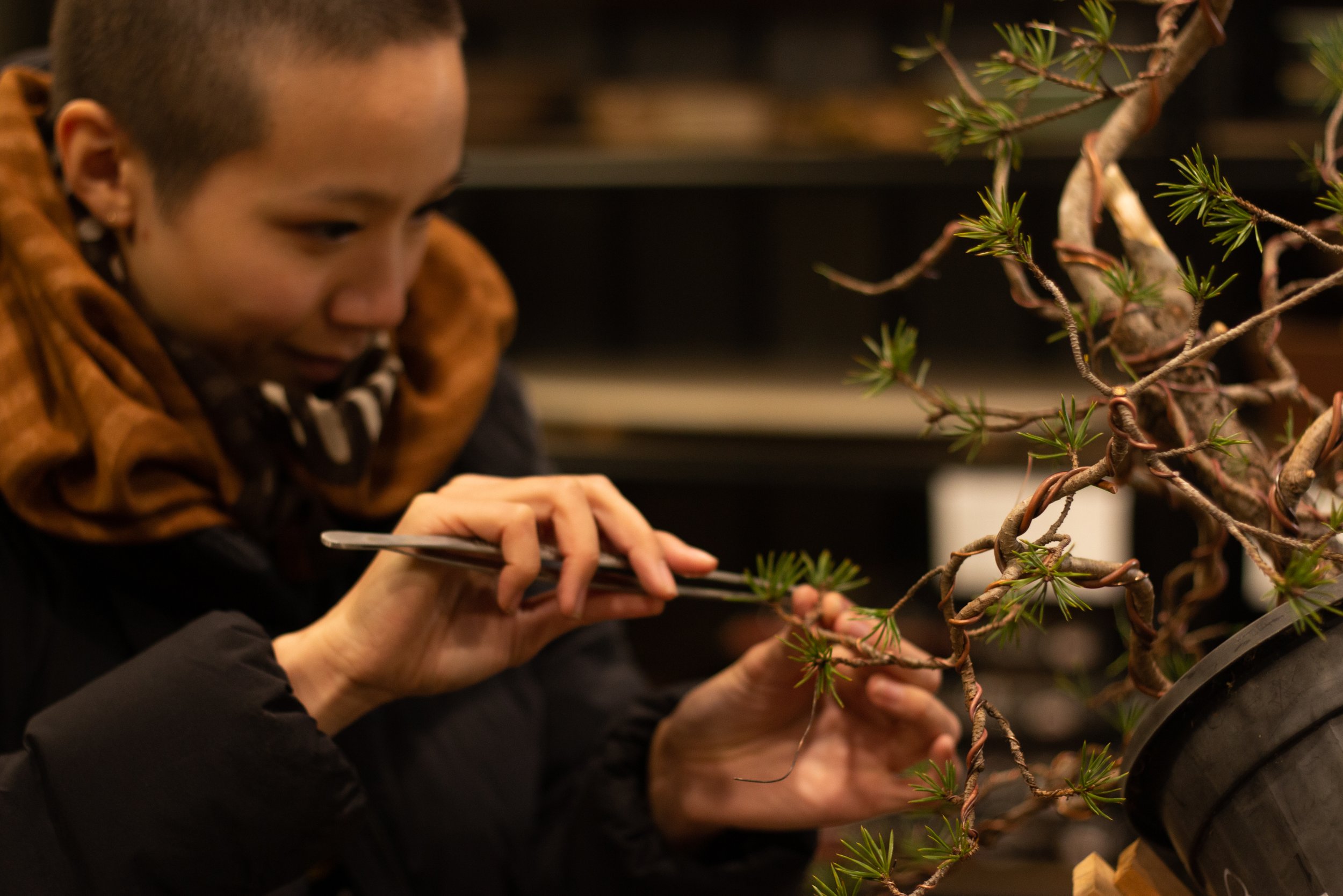 Services — Tree Makers Design