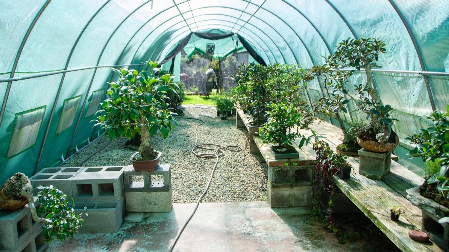 About — Tree Makers Design