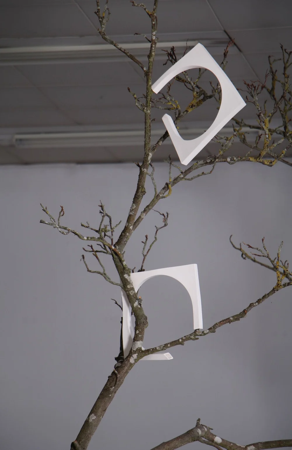 Lu Yu | Colchester Art Society