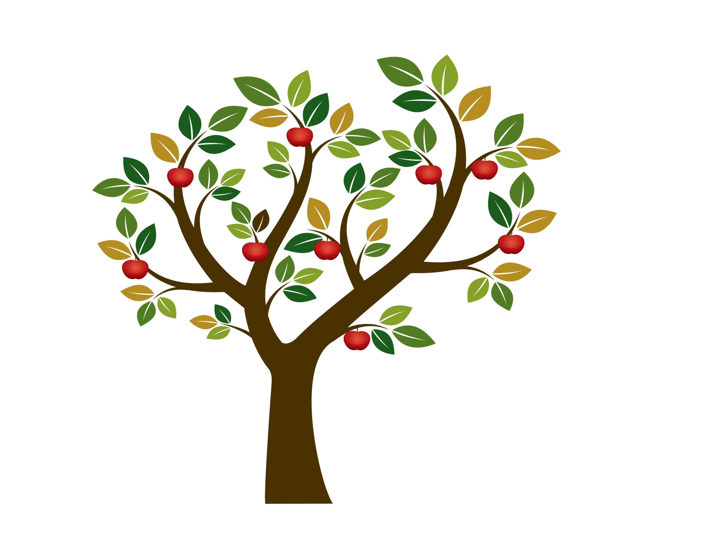 Youth & Family Outreach