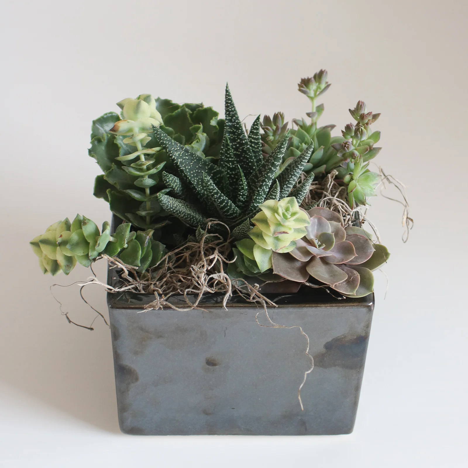 Flowers by Gabrielle