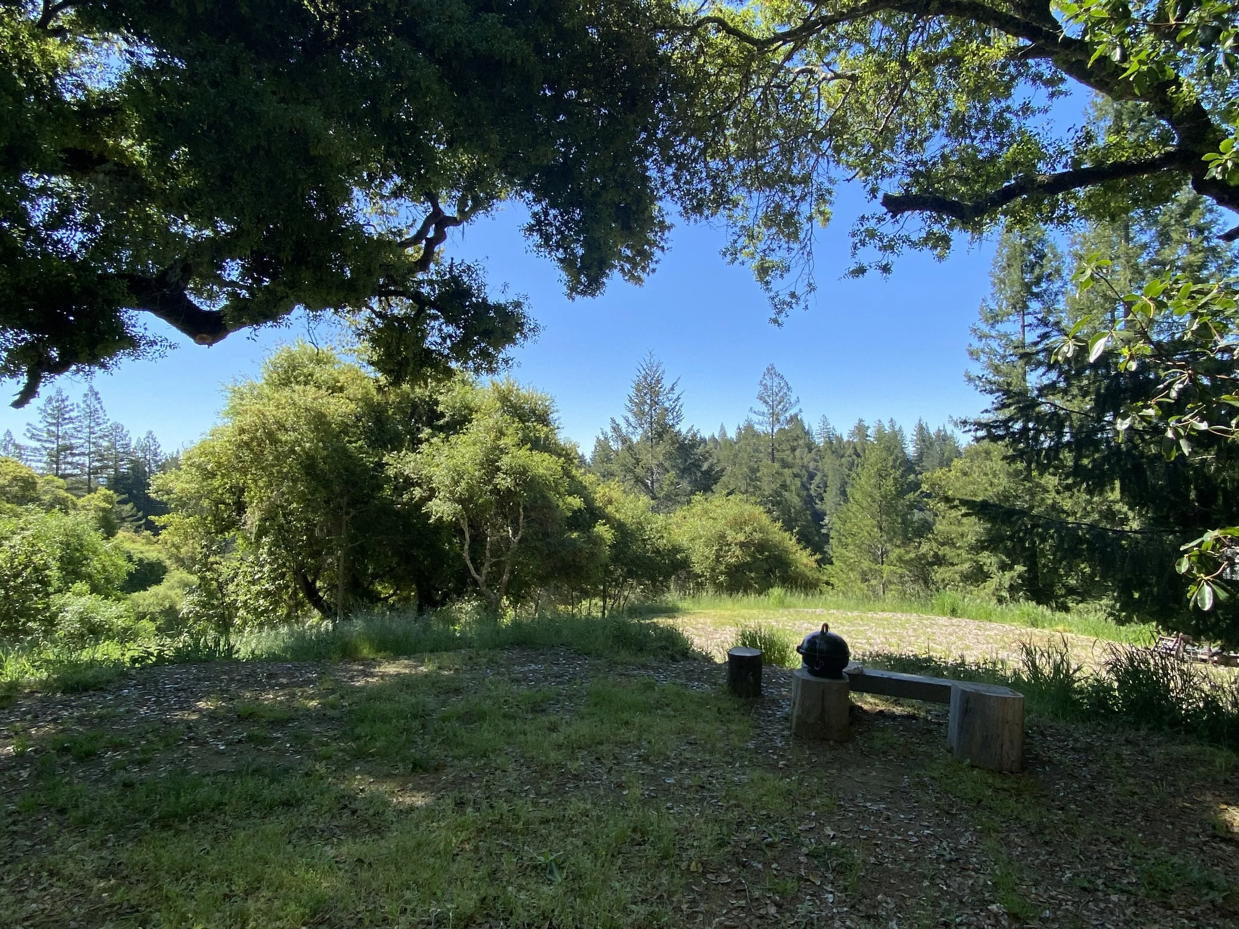 Listings — North Country Real Estate