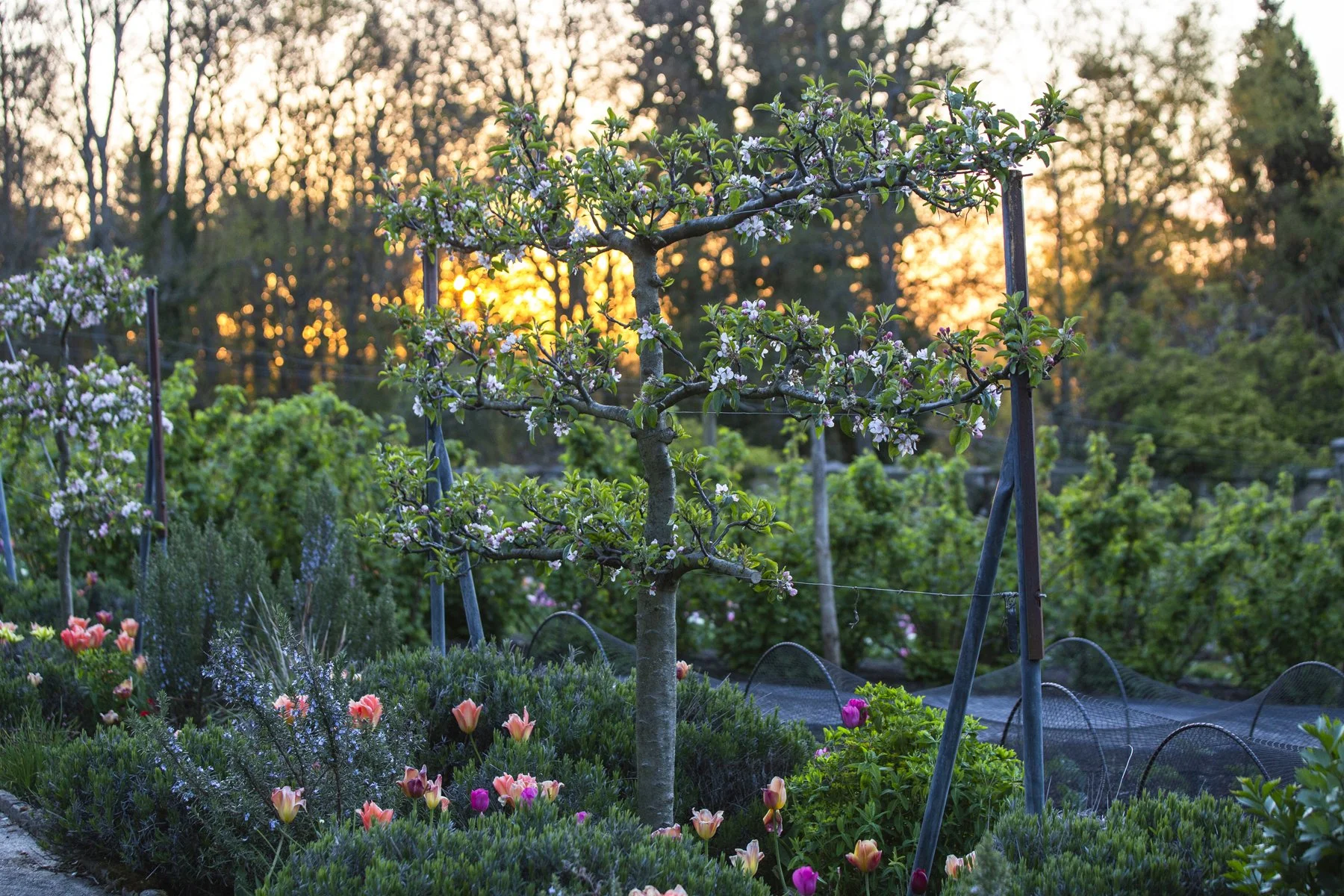 restaurants — Catherine Frawley | Photographer