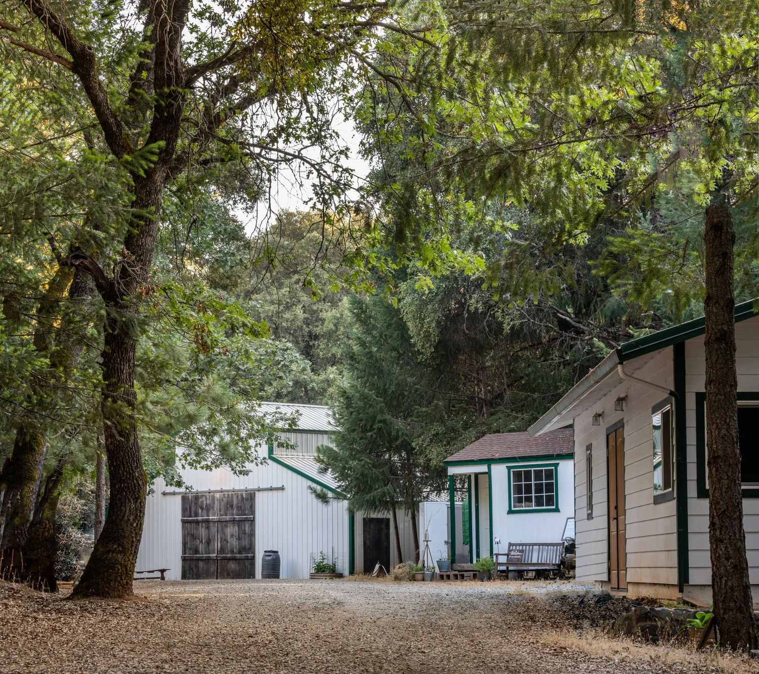 Jollity Farm Goat Dairy & Creamery | Ethical Farming, Handcrafted ...
