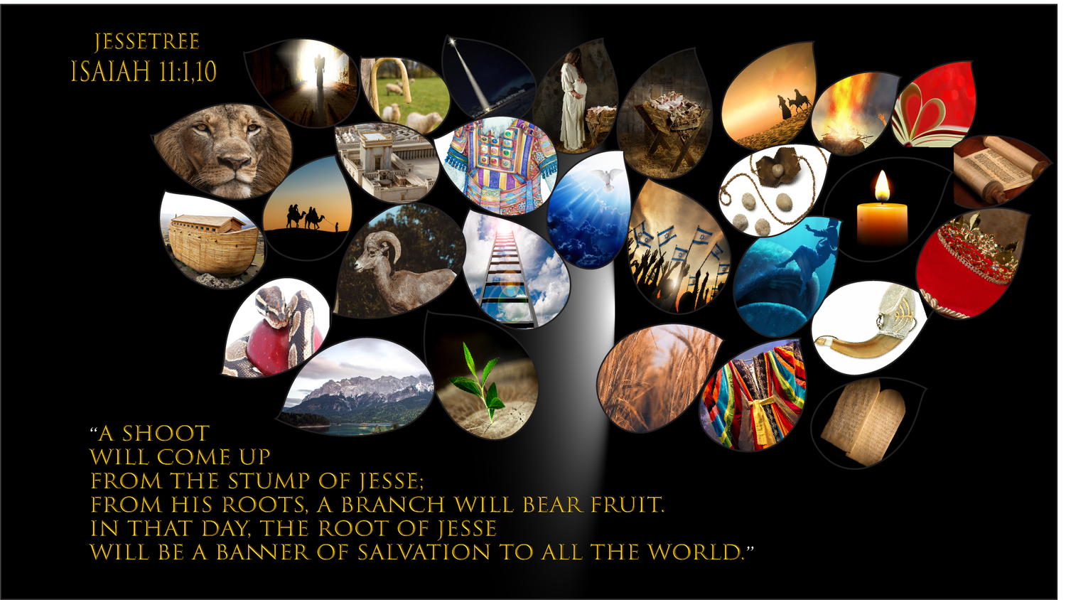 Jesse Tree Devotional