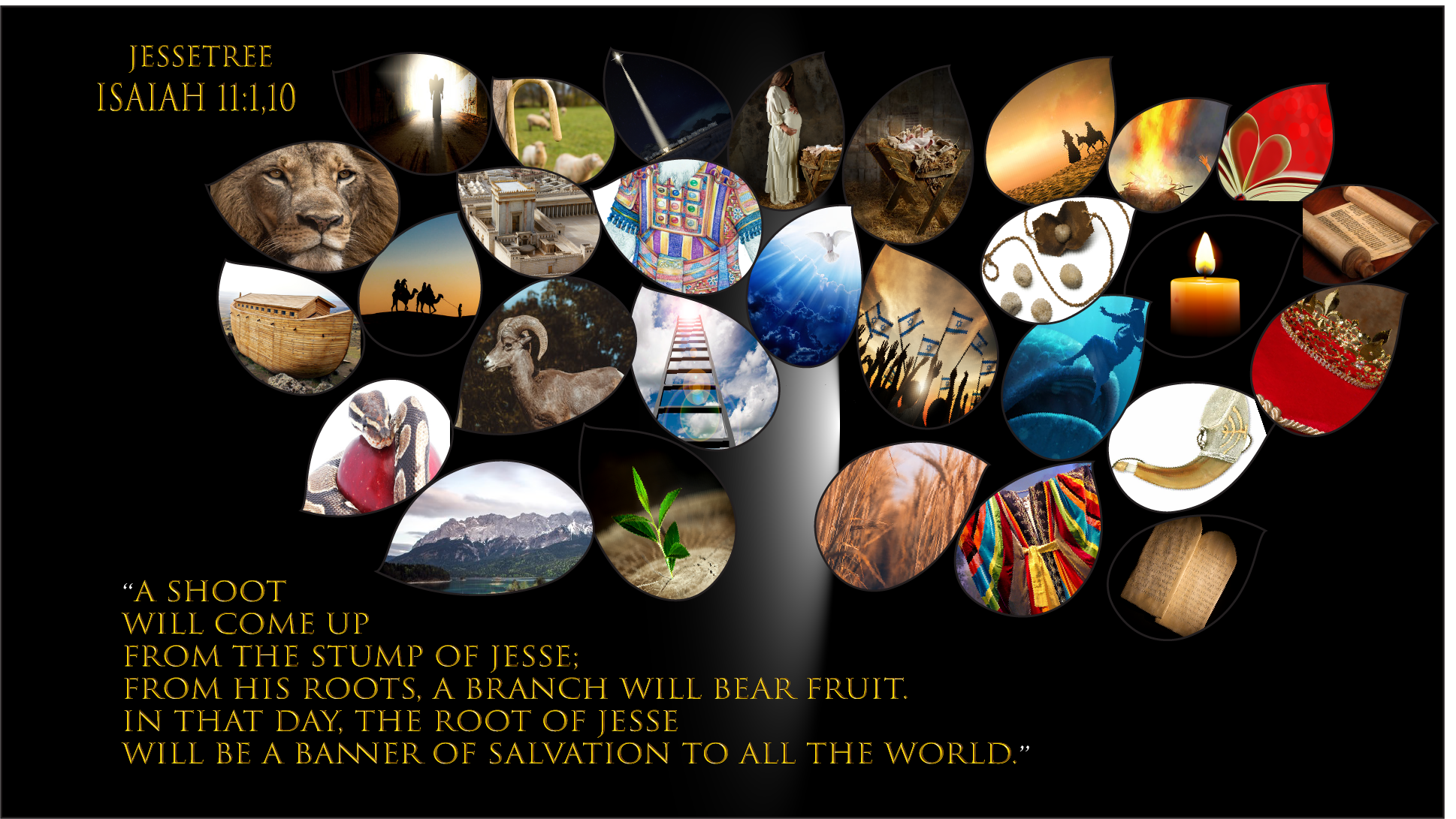 Jesse Tree Devotional