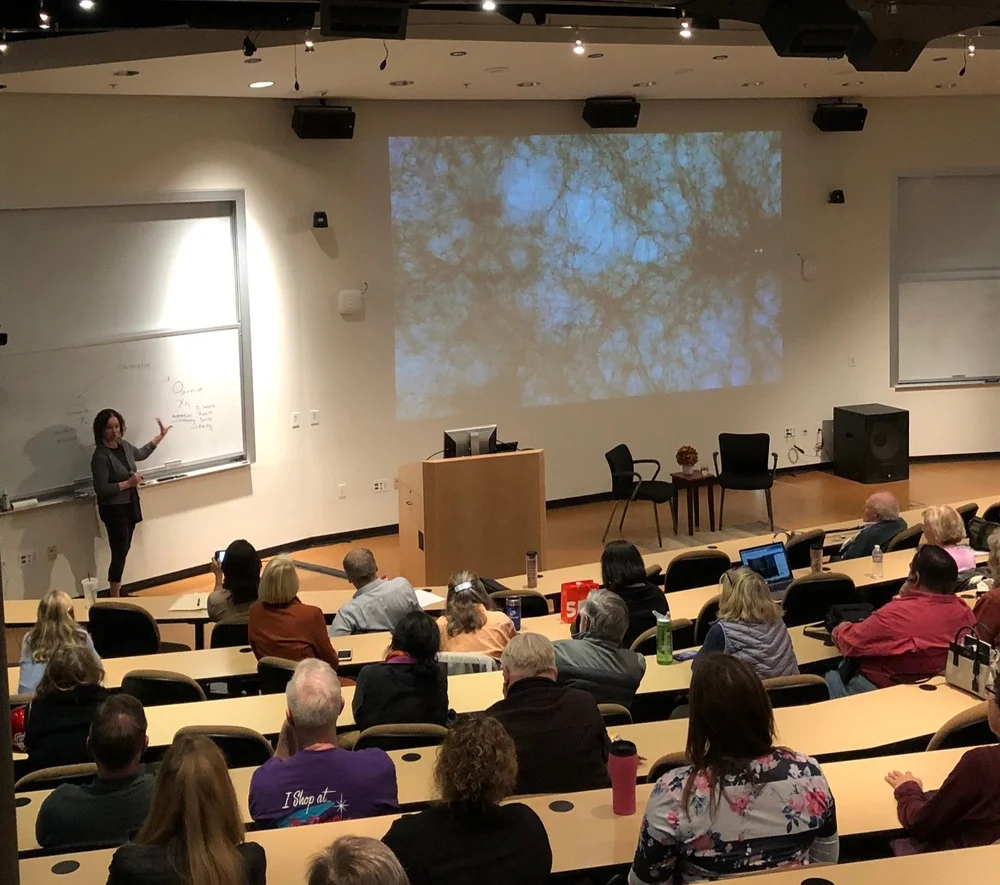 About — Lisa Rosenberg