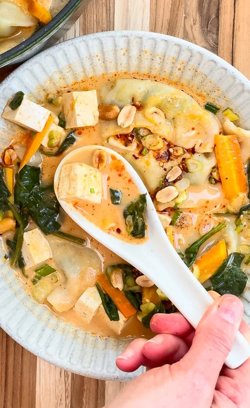Easy One Pot Viral Dumpling Soup (vegan, high protein) — The Vegan Six