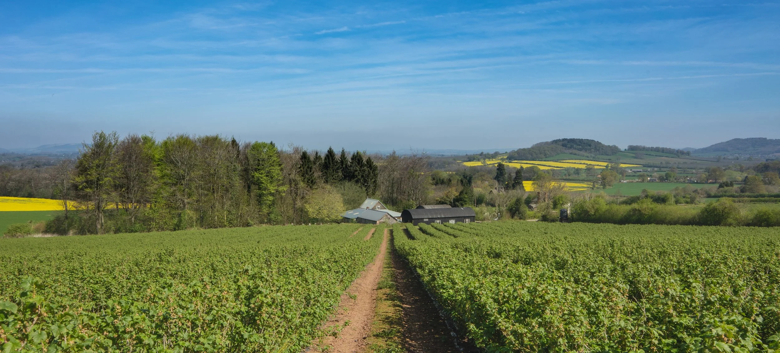 Contact Us | Harrison & Pope