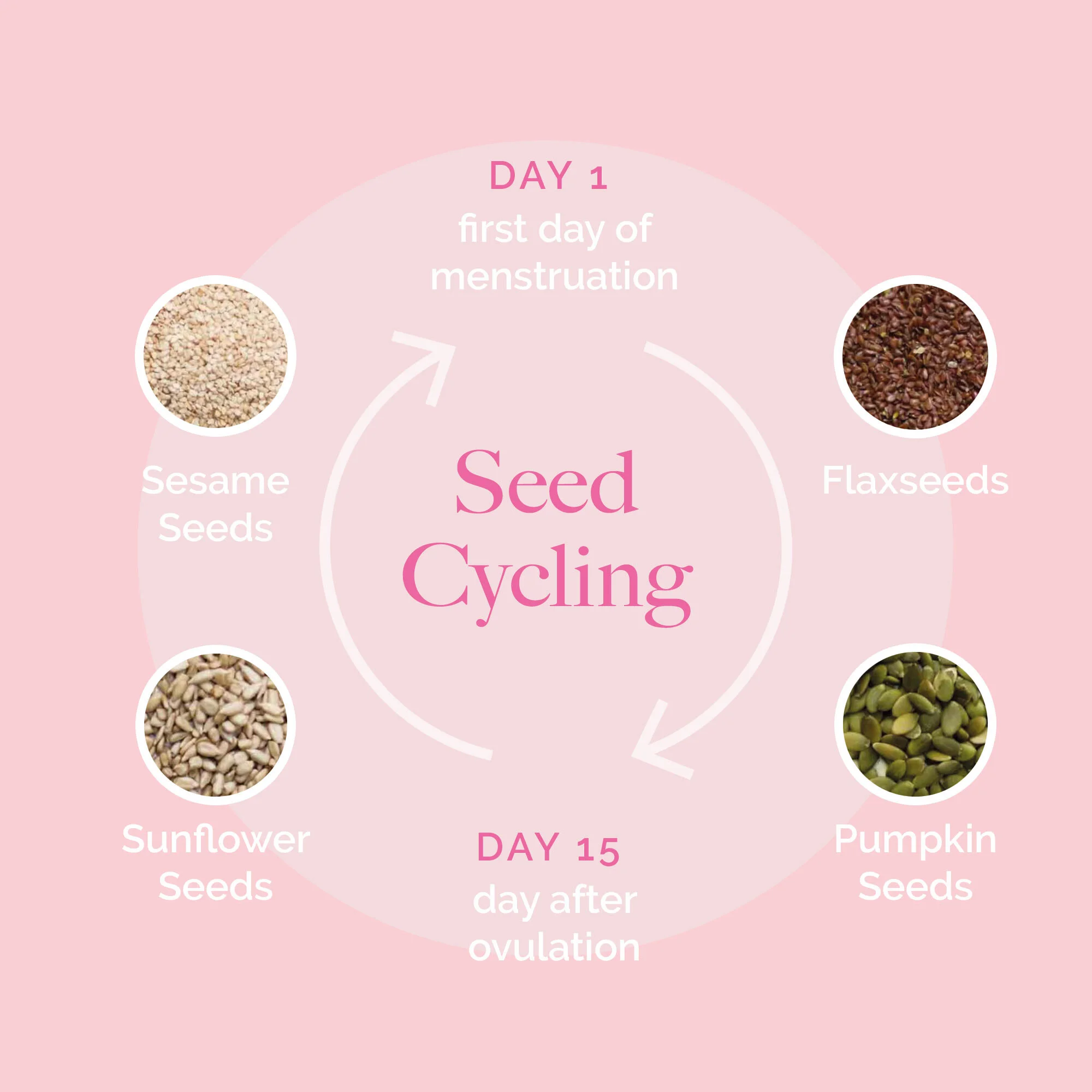 Seed Cycling to Balance Female Hormones - Pippa Campbell Health