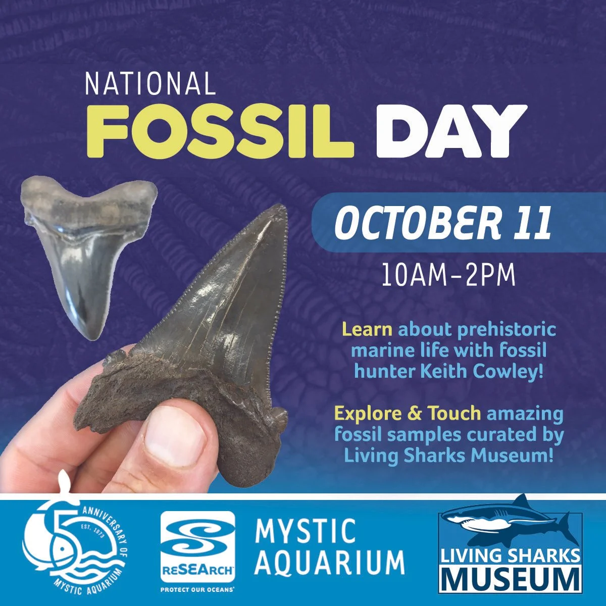 National Fossil Day with Fossil Hunter Keith Cowley at Mystic Aquarium ...